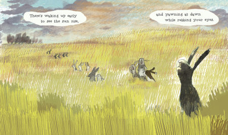 The Wonderful Habits of Rabbits (Hardcover) - little bee books