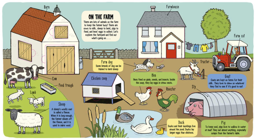 Little Explorers: The Animal World - little bee books