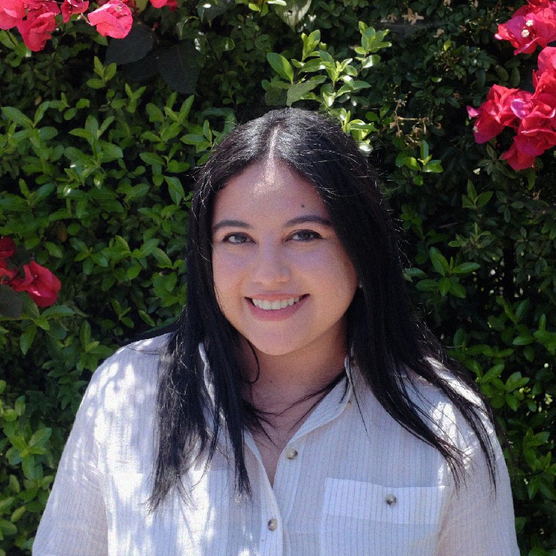 Pepe and the Parade - little bee books