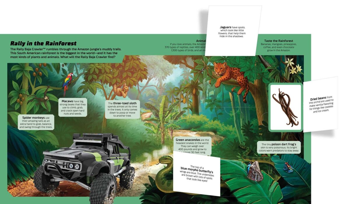 Hot Wheels: Exploring the Wild Wilderness (A Mattel Hot Wheels Lift the ...