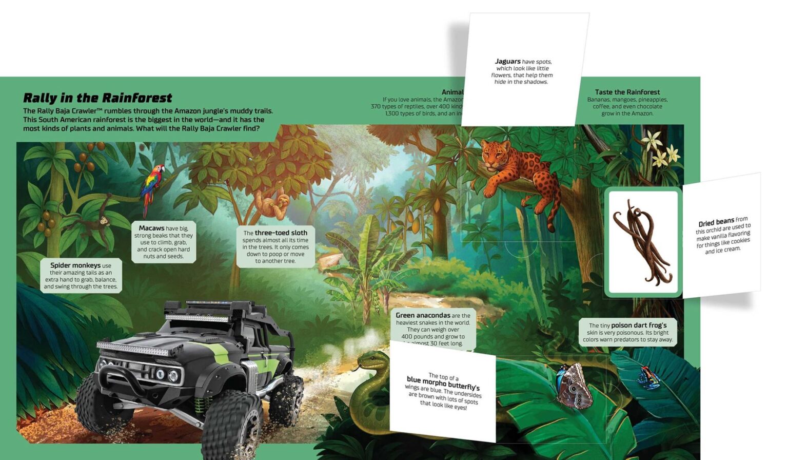 Hot Wheels: Exploring the Wild Wilderness (A Mattel Hot Wheels Lift the ...